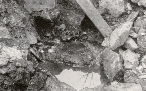 This Skeleton Is The First Person Ever Found From a Norse Saga ...