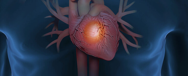 Damaged Hearts May Have Hidden Self-Healing Powers, Study Finds ...