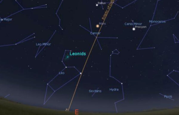 Leonid Meteor Shower May Put on a Surprise Show This Week - Science News