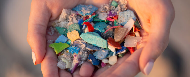 An Expert Explains The Real Dangers of Microplastics to Human Health ...