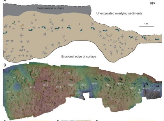 Mysterious Human Footprints From 1.5 Million Years Ago Reveal a ...