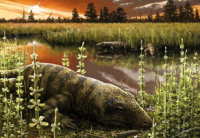 Dog-Like Predator's Bones Belong to Oldest Known Mammal Relative ...