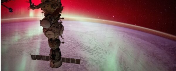 Astronauts Share Most Breathtaking Images of Earth From Space in 2024 ...