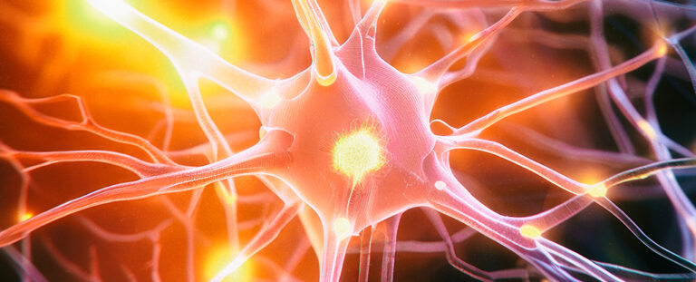 David Nield, Journalist at ScienceAlert