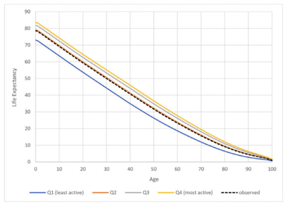 A Single One-Hour Daily Walk Could Add Six Hours to Your Lifespan ...
