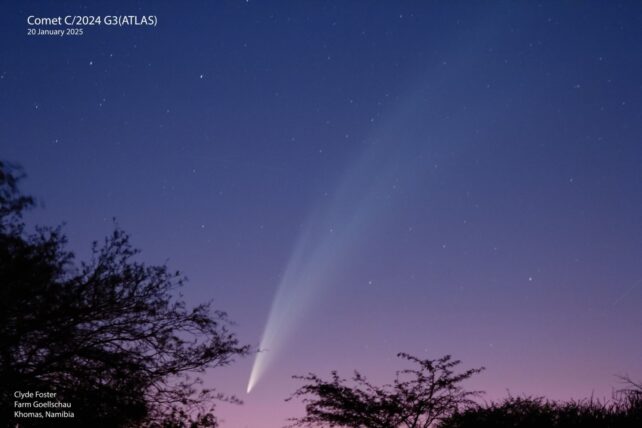 Check Out These Amazing Photos of Comet G3 ATLAS Soaring Past Earth ...