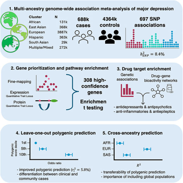 Breakthrough Global Research Finds 293 New Genetic Links to Depression ...