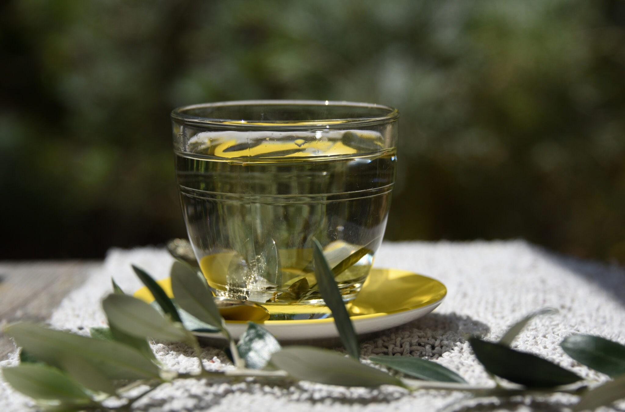 We Know Olive Oil Is Good For Us - Turns Out The Leaves Are Too ...
