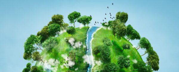 Environment : ScienceAlert - The Best in Science News And Amazing ...