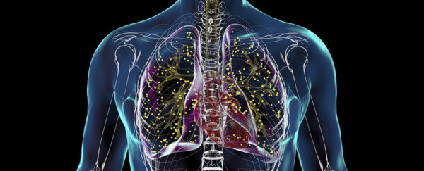 Tuberculosis Outbreak in Kansas Is Among Largest on Record in US ...