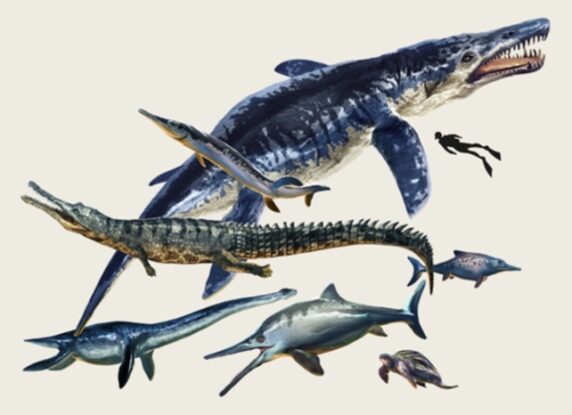 Monstrous Creatures of The Past Could Have Feasted on Today's Apex ...