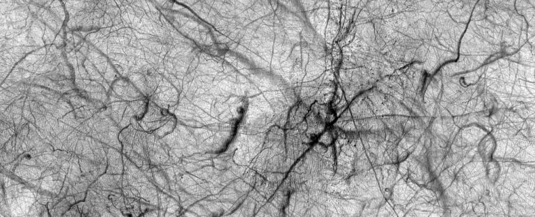 NASA's Stunning New Image Reveals Dust Devils in Action on Mars ...