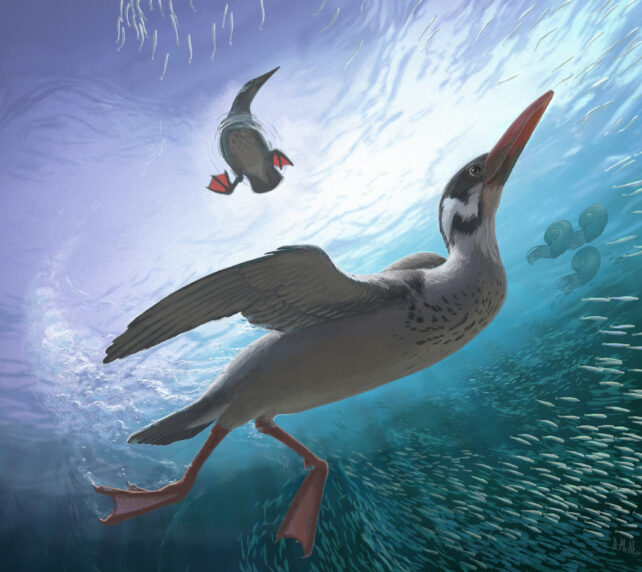Remarkable Fossil Discovery Hints at Antarctic Origins of All Modern ...