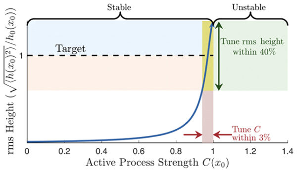 Scientists Just Found a Hidden Set of 'Modes' in The Human Ear ...