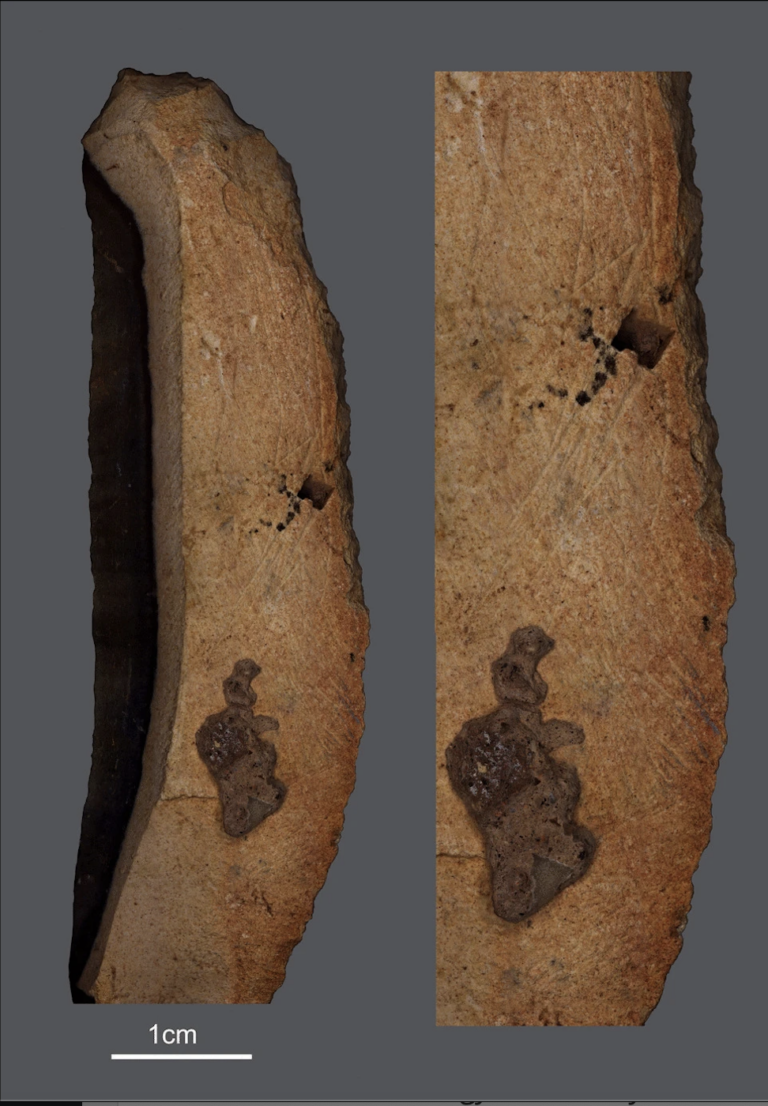 Ancient Objects From 50,000 Years Ago Reveal Mysterious Symbols ...