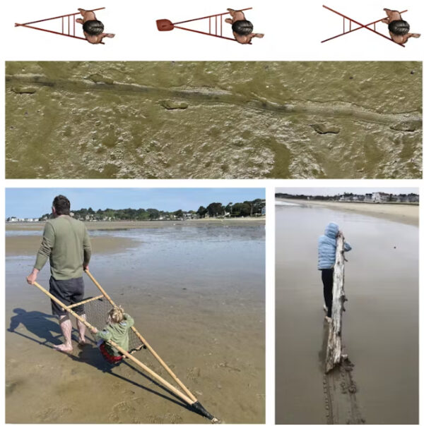 These 22,000-Year-Old Drag Marks Could Be Oldest Evidence of a Handcart ...