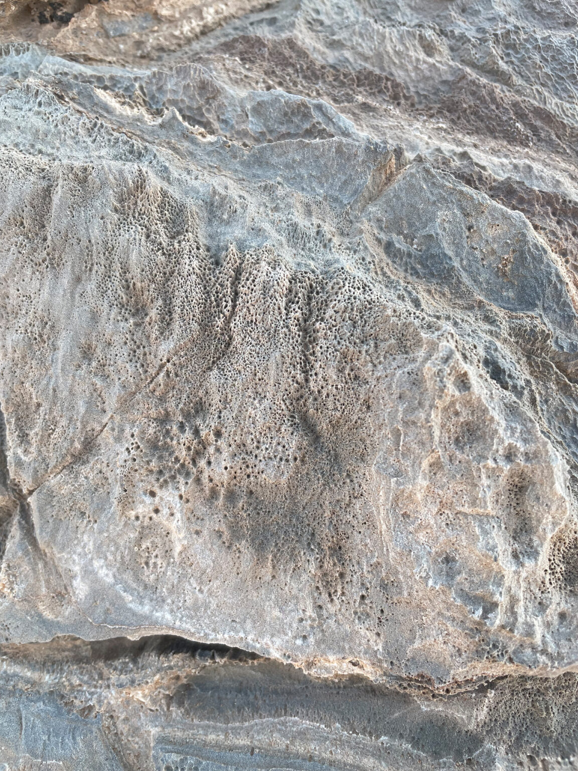 Holes in Desert Rocks May Have Been Left by Microbe Unlike Any Known ...