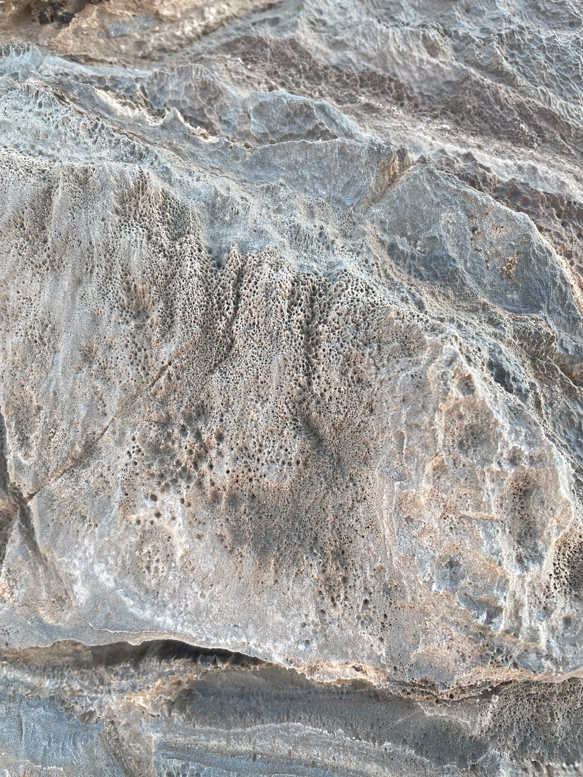 Holes in Desert Rocks May Have Been Left by Microbe Unlike Any Known ...