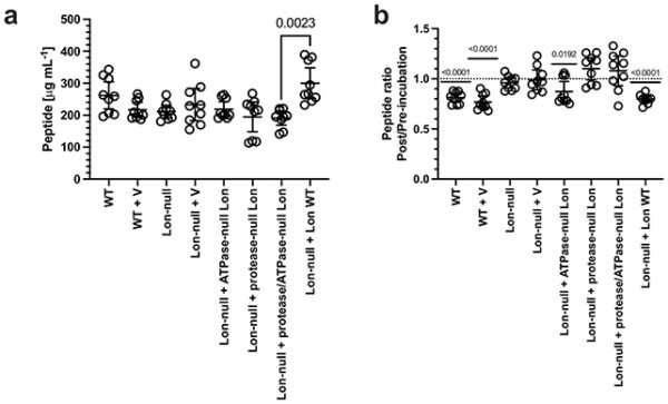 Dead Bacteria Dissolve Their Own Corpses as a Parting Gift For ...
