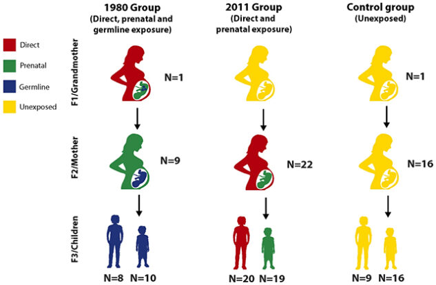 Violence Leaves Its Mark on Our Genes For Generations, Study Finds ...