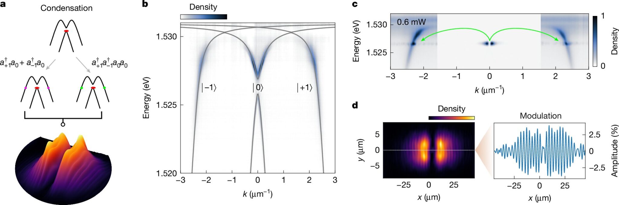 World First: Physicists Create a Supersolid Out of Light : ScienceAlert
