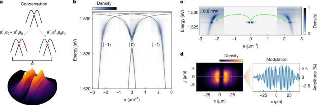 World First: Physicists Create a Supersolid Out of Light : ScienceAlert