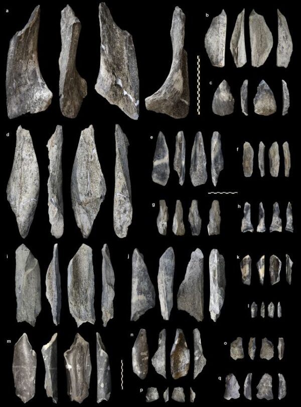Discovery of 1.5-Million-Year-Old Bone Tools Rewrites Early Human ...