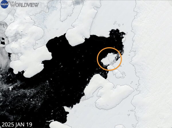 Antarctic Iceberg Breaks Away to Reveal a Never-Before-Seen Ecosystem ...