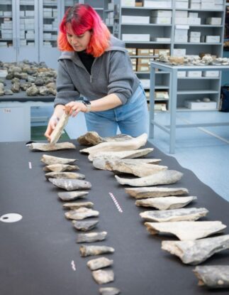 Discovery of 1.5-Million-Year-Old Bone Tools Rewrites Early Human ...