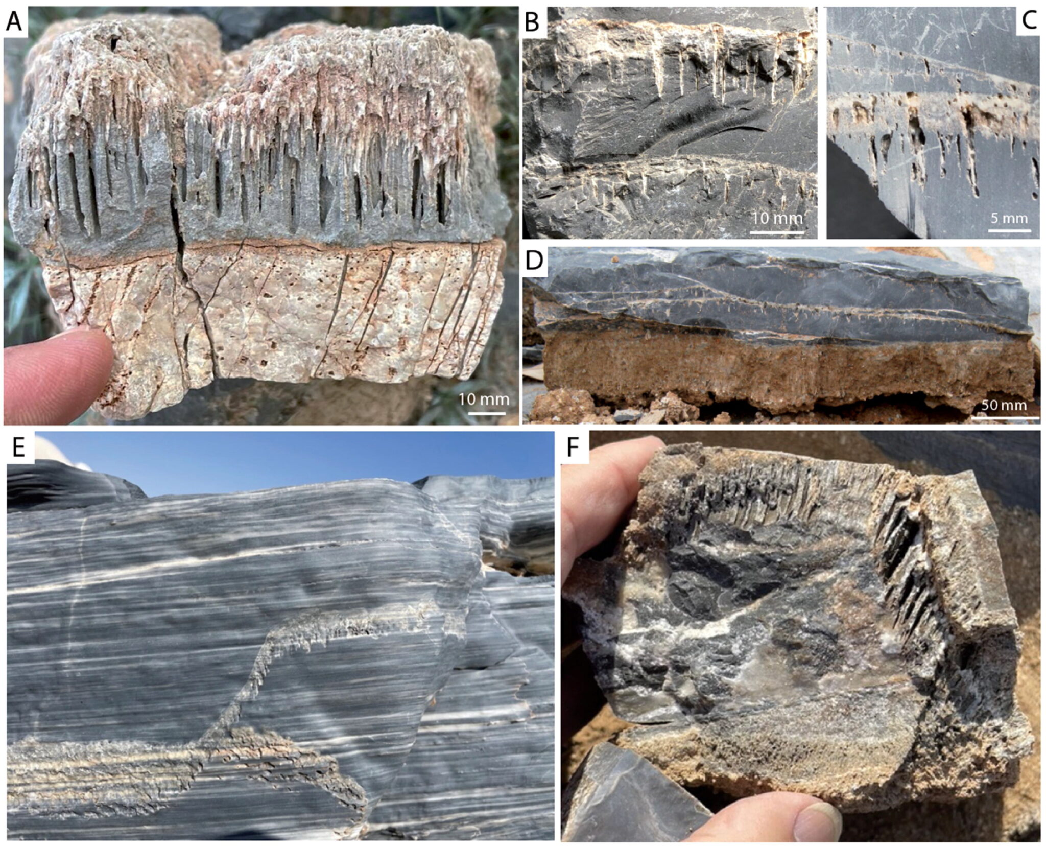 Holes in Desert Rocks May Have Been Left by Microbe Unlike Any Known ...