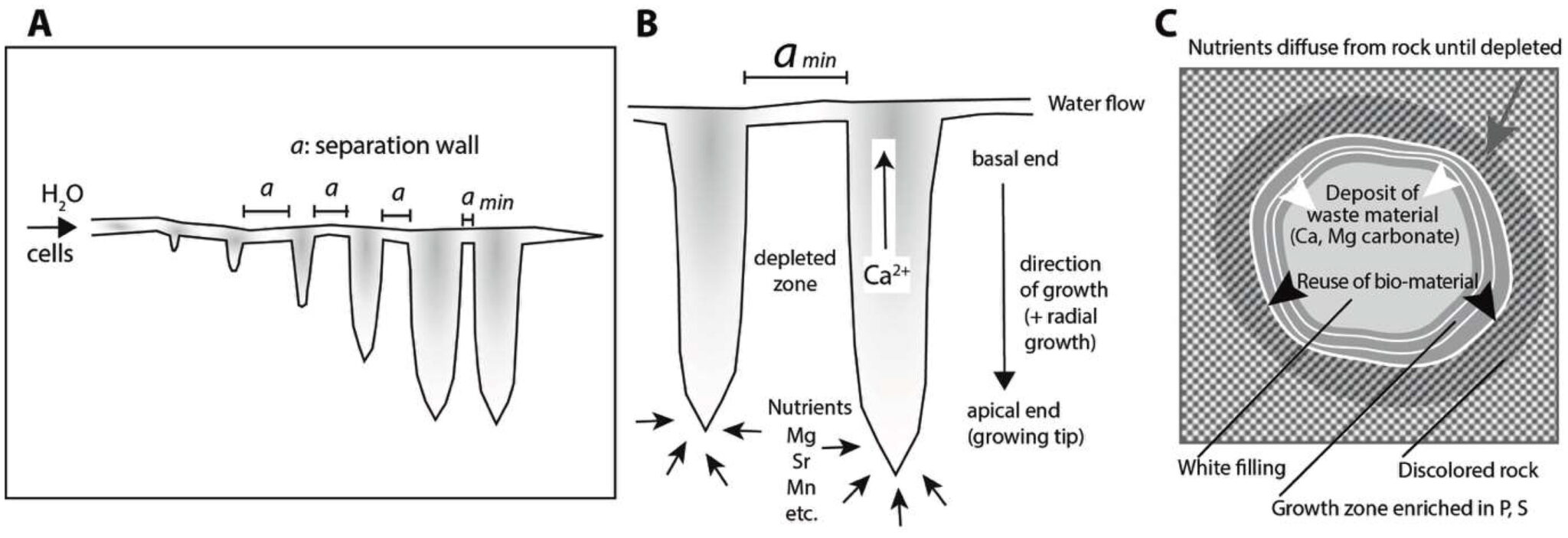 Holes in Desert Rocks May Have Been Left by Microbe Unlike Any Known ...