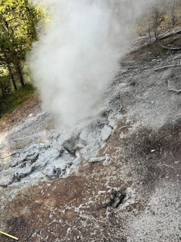 A Steaming-Hot Volcanic Vent Has Opened Up in Yellowstone : ScienceAlert