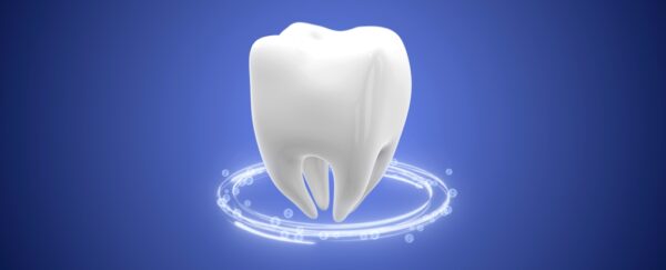 Lab-Grown Teeth Are Another Step Closer to Reality, Scientists Reveal ...