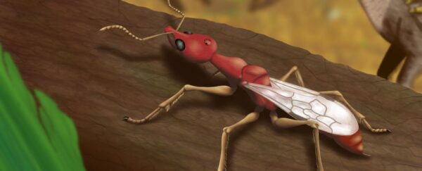 113-Million-Year-Old 'Hell Ant' Discovery Is Oldest Ever Found ...