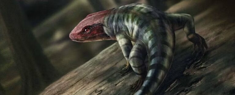Scientists Discover Oldest Reptile Tracks, Rewriting Evolution Timeline ...
