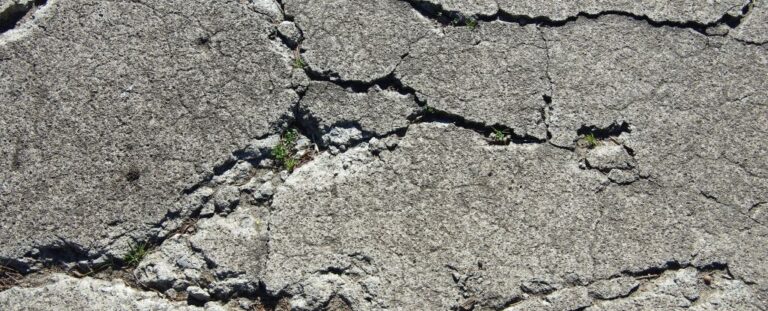 Scientists Developed a Kind of 'Living Concrete' That Heals Its Own ...