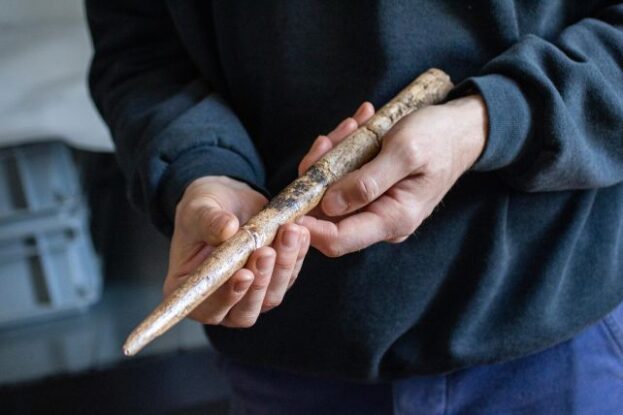 Earliest Known Whale Bone Tools Discovered in Europe's Museum ...