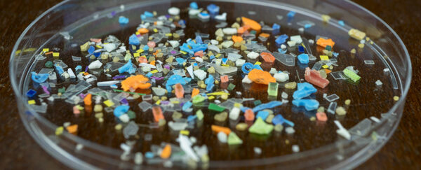 Glass Bottles Actually Contain More Microplastics, Scientists Find ...