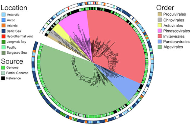Hundreds of Mysterious Giant Viruses Discovered Lurking in The Ocean ...