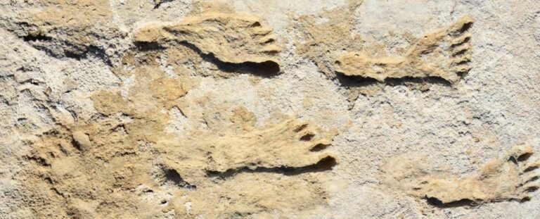 Confirmed: New Mexico Footprints Rewrite Timeline of Humans in America ...