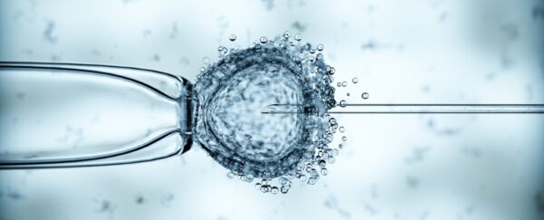 8 Babies Born in UK Using Radical 'Three Parent' IVF Technique ...