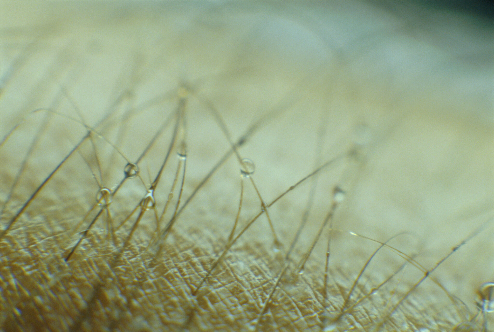 Sweat Doesn't Actually Form The Way We Thought, Study Finds : ScienceAlert