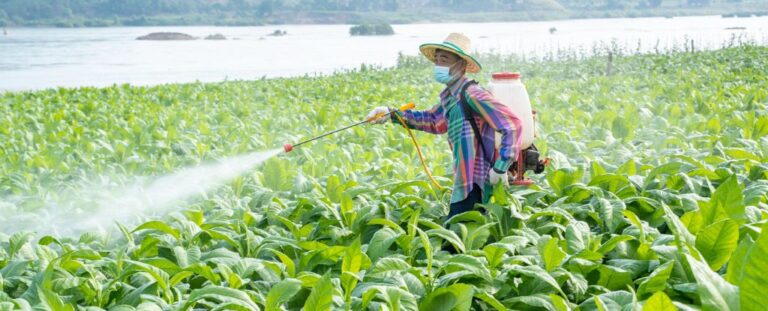 World's Most Popular Weedkiller Has a Regrettable New Ingredient ...