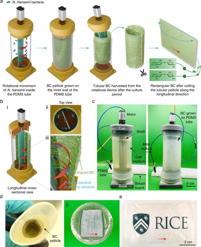 This Incredible New Bioplastic Could Be The Supermaterial of Tomorrow ...