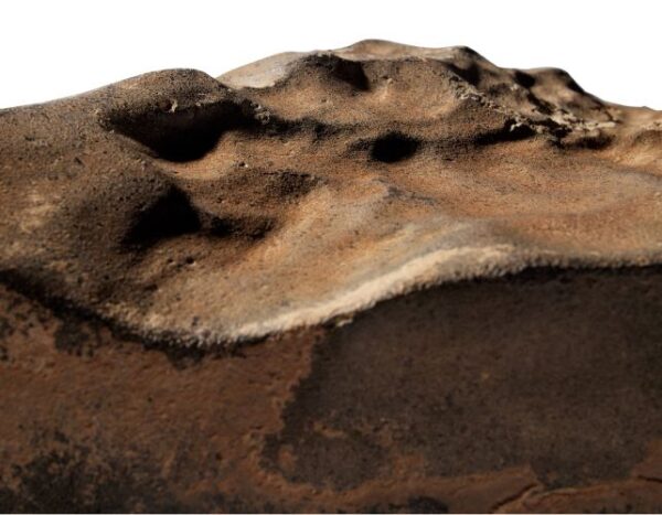Largest Mars Rock on Earth Could Sell For US$4 Million : ScienceAlert