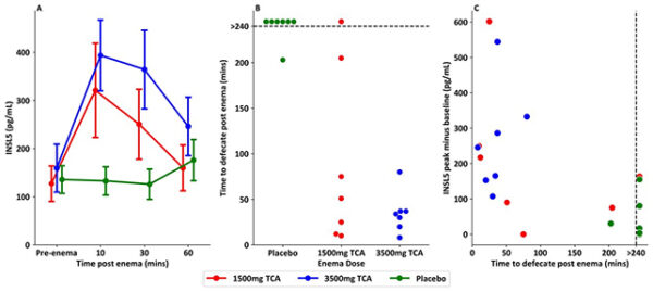 Targeting a Single Hormone Could Help Treat 40% of IBS-D Cases ...