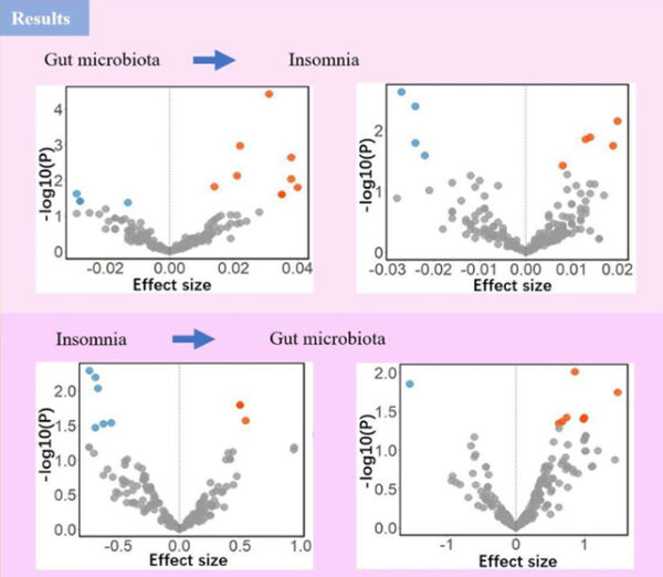 Examine of Over 400,000 Individuals Hyperlinks Intestine Micro organism ...