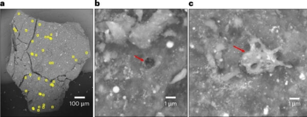 Asteroid Bennu Samples Contain Stardust Older Than Our Solar System ...