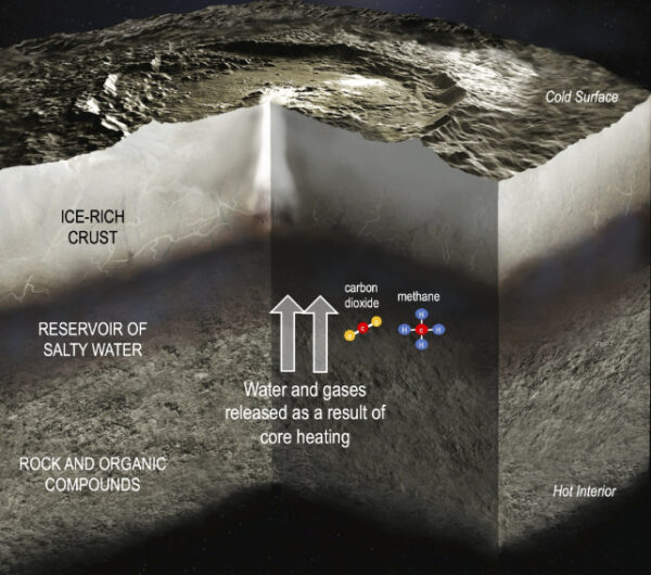 Asteroid Belt's Largest Object Could Have Once Supported Life ...
