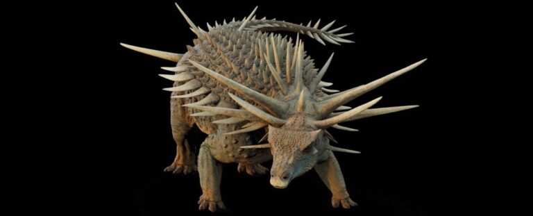 This Incredible Dinosaur Sported The Spikiest Armor The World Has Ever ...